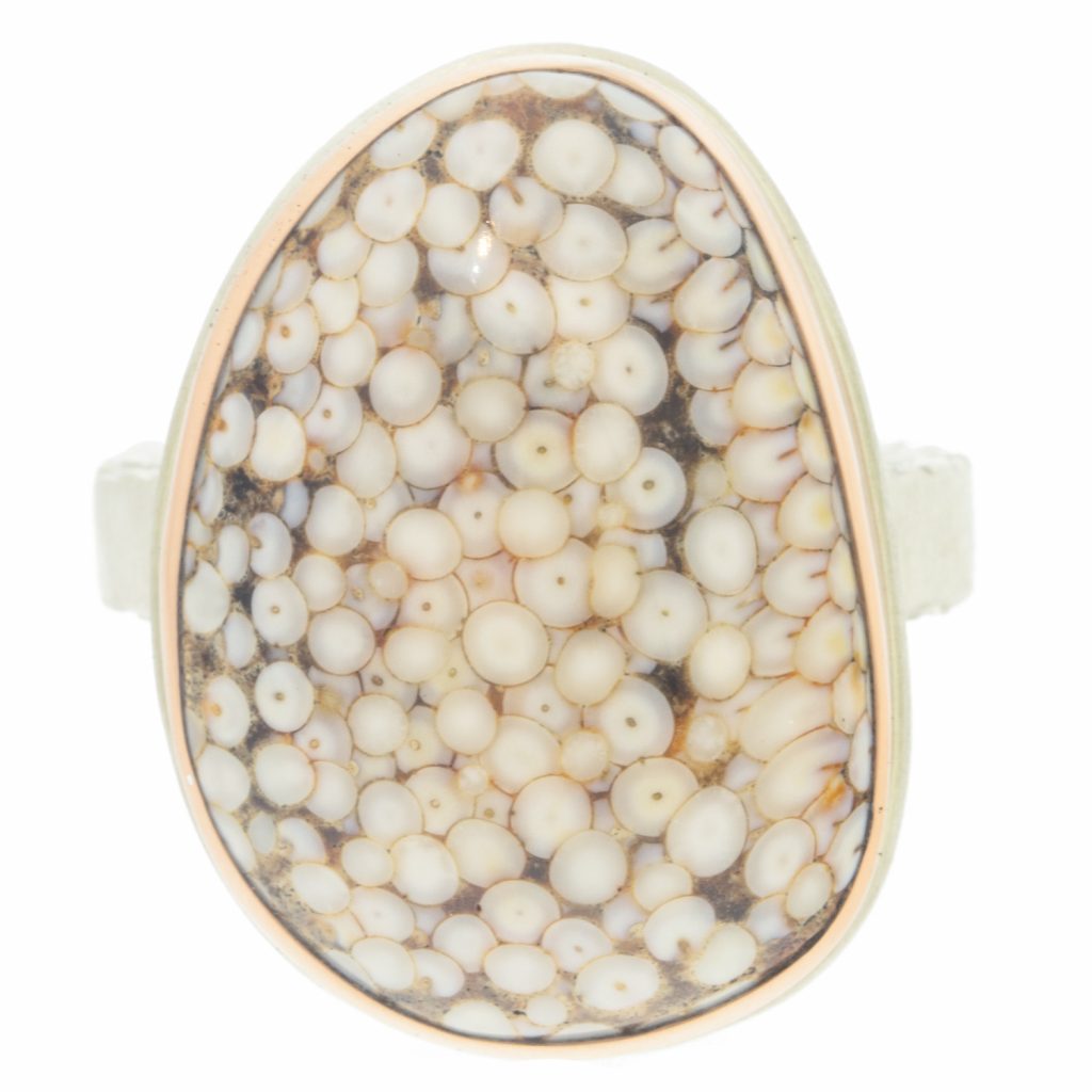 Snakeskin Agate Ring by Jamie Joseph - NEWTWIST