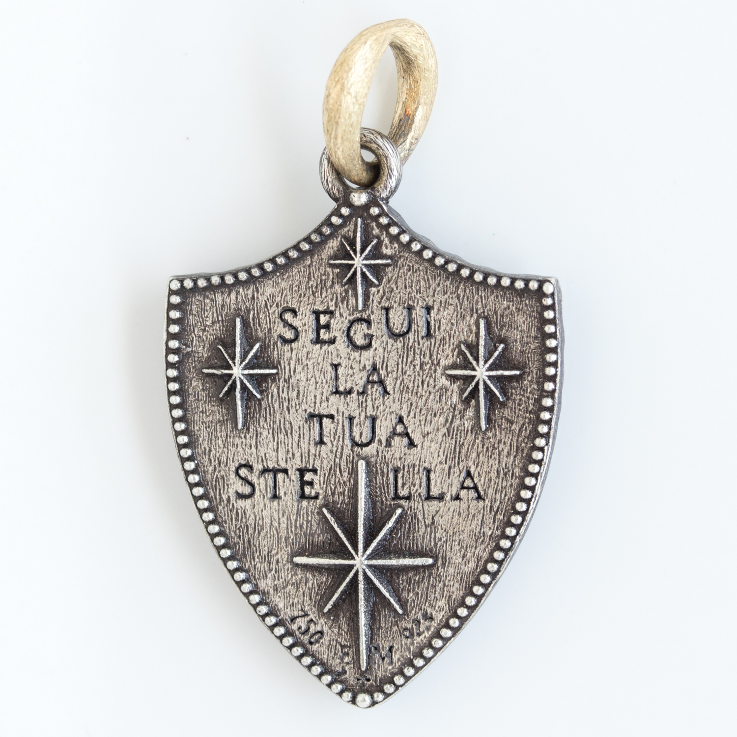 Trunk Show: Medium North Star Shield by Erica Molinari - NEWTWIST